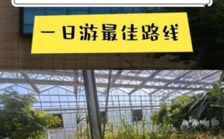 莘县有什么好玩的_莘县一日游最佳路线