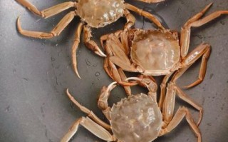 蒸螃蟹蒸多久_蒸螃蟹冷水下锅还是热水