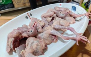 蒸鸽子怎么做好吃_蒸鸽子要多久才嫩