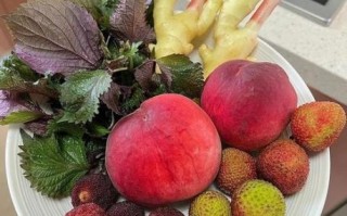 紫苏杨梅桃子姜怎么做_正宗腌制比例