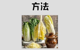 东北酸菜怎么腌好吃_东北酸菜腌制方法窍门