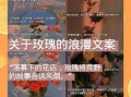 发玫瑰花朋友圈配词怎么写_玫瑰花文案短句高级感