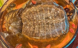 霸王别姬菜谱怎么做_霸王别姬正宗做法