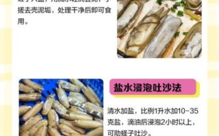 蛏子怎么清洗才干净_蛏子的做法家常又鲜美