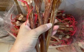 鹿筋的功效与作用_鹿筋怎么吃效果最好