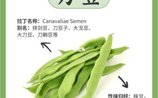 刀豆图片功效与作用_刀豆怎么吃最营养