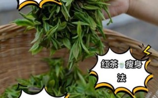 哪种绿茶减肥效果好_绿茶减肥排行榜
