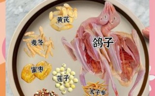 鸽子怎么做好吃_鸽子汤的做法大全视频