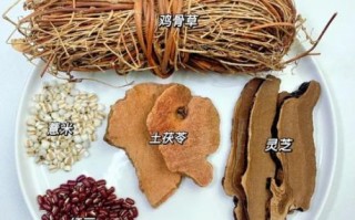 鸡骨草可以天天喝吗_长期饮用注意事项