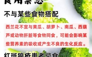 长期吃西兰花有什么好处_长期吃西兰花会伤胃吗