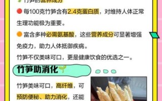 吃竹笋的好处与功效_竹笋的营养价值有哪些