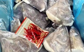 鸦片鱼头是进口的吗_鸦片鱼头产地在哪里