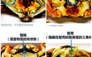 螃蟹能和牛肉一起吃吗_螃蟹牛肉同食禁忌