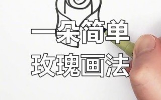 玫瑰花简笔画怎么画_玫瑰花简笔画步骤
