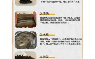 海参最简单的做法_海参怎么泡发最快