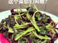 红苋菜怎么做好吃_红苋菜怎么做最有营养