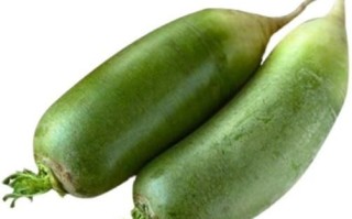 绿萝卜怎么保存时间长_绿萝卜和白萝卜区别