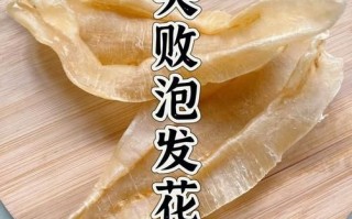 鱼肚怎么做_鱼肚怎么泡发才没腥味
