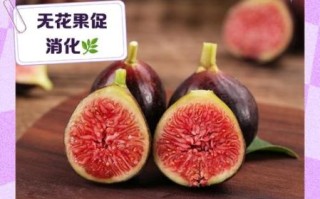鲜无花果的功效与禁忌_哪些人不能吃