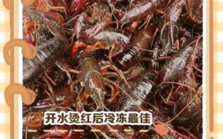 活大龙虾怎么保存_活大龙虾多少钱一斤