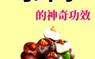 马蹄煮水喝有什么功效_马蹄煮水可以天天喝吗