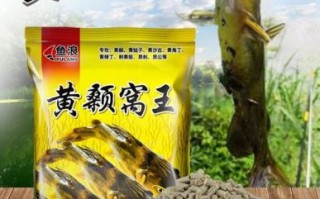 黄颡鱼野钓用什么饵_黄颡鱼野钓最佳时间