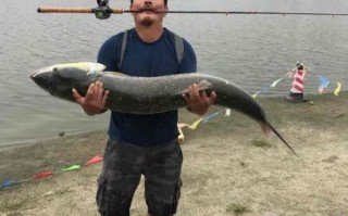 黄剑鱼价格多少钱一斤_黄剑鱼多少钱一斤2024