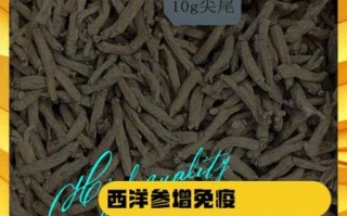 花旗参的功效与作用及禁忌_花旗参适合什么人吃