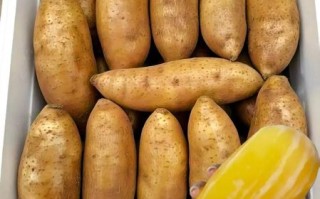 雪莲果好吃吗_雪莲果口感怎么样