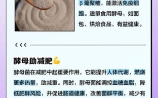 酵母菌的作用与功效_酵母菌对人体有什么好处