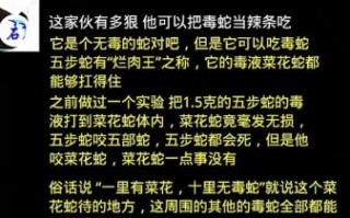 菜花蛇大战眼镜王蛇_谁更厉害