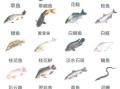淡水鱼类大全_常见淡水鱼有哪些
