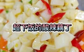 酸辣藕丁怎么做_酸辣藕丁的做法步骤