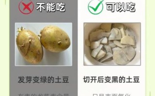 马铃薯发芽能吃吗_如何储存不发芽
