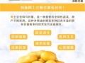 土豆热量高吗_土豆营养价值有哪些