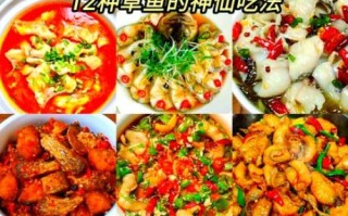 草鱼怎么做好吃_家常草鱼做法大全