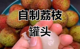 荔枝罐头怎么做_家庭自制荔枝罐头详细步骤