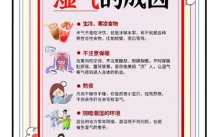 健脾去湿气最好的方法_湿气重怎么调理最快