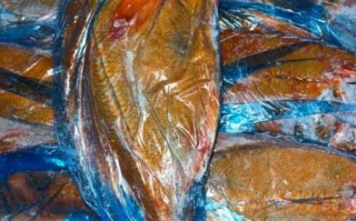 长寿鱼多少钱一斤青岛_青岛哪里买长寿鱼便宜