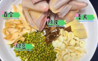 鸽子绿豆汤的做法_鸽子绿豆汤的功效与禁忌