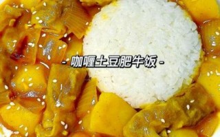 牛肉咖喱饭怎么做_牛肉咖喱饭家常做法