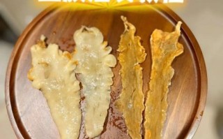 鱼胶怎么泡发_鱼胶炖汤做法