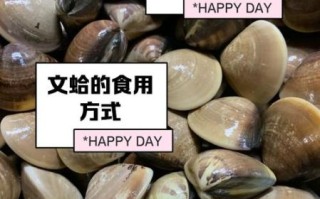 蛤蜊怎么读_蛤蜊正确读音是什么