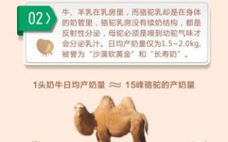 骆驼奶的功效与作用_骆驼奶适合什么人喝