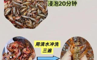 小龙虾怎么清洗_家常小龙虾的做法步骤