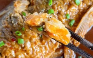 鲤鱼怎么做好吃_家常红烧鲤鱼的做法