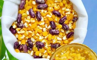 东北大碴子粥怎么熬_大碴子粥需要泡多久