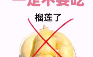 榴莲下奶的做法大全集_榴莲怎么吃才下奶