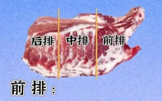 排骨价格为什么涨_排骨多少钱一斤2024