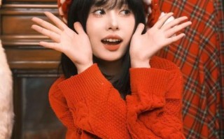 锅盖wer是谁_锅盖wer为什么火